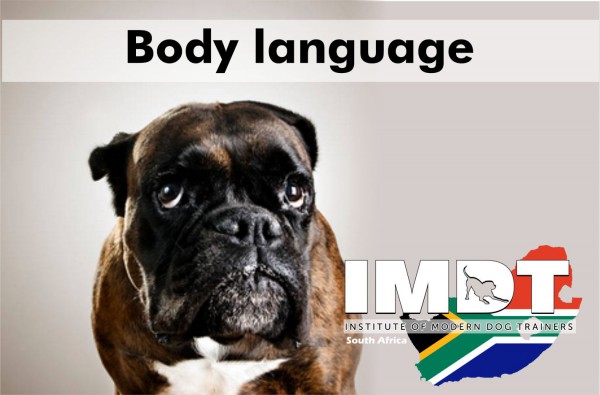 Forthcoming Courses and Seminars | IMDT