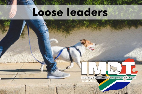 IMDT Courses | IMDT | Dog Trainer Courses